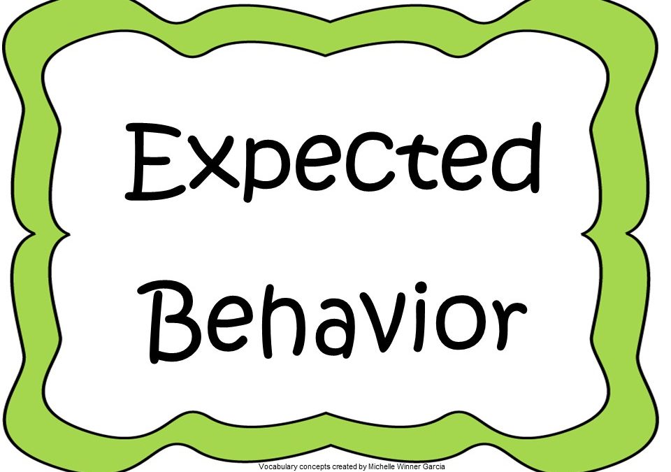 expected behavior - thedabblingspeechie