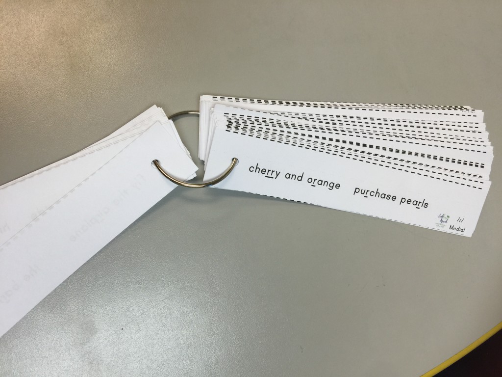 IMG_4286 - thedabblingspeechie