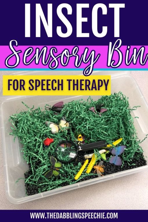 insect-sensory-bin-speech-therapy-pin-2 - thedabblingspeechie