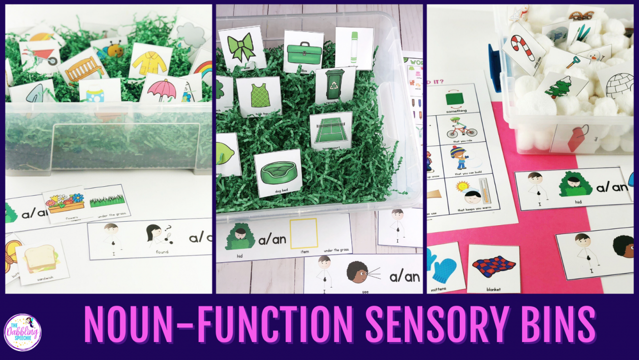 Noun-Function Sensory Bins with Seasonal Themes - thedabblingspeechie