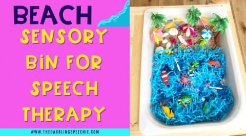 Epic Beach Sensory Bin For Speech Therapy - thedabblingspeechie