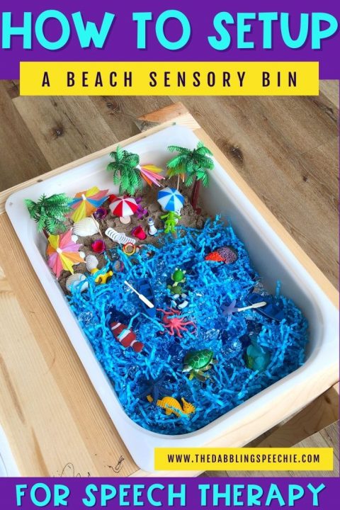 Epic Beach Sensory Bin For Preschool Speech Therapy - thedabblingspeechie