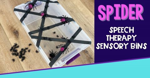 Easy Spider Speech Therapy Sensory Bins - thedabblingspeechie