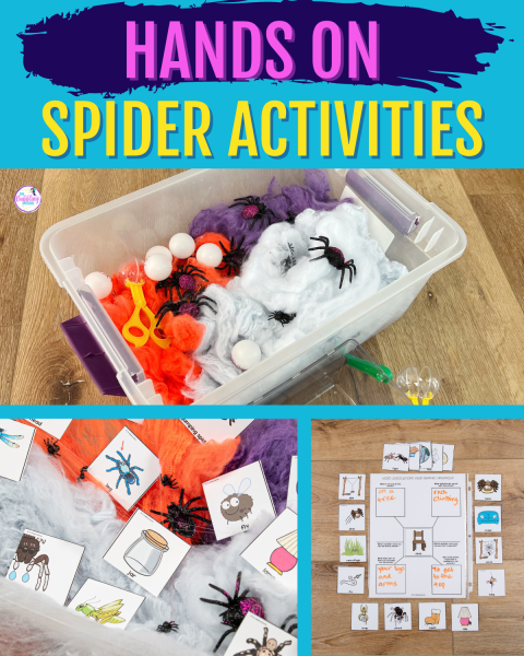 Easy Spider Speech Therapy Sensory Bins - thedabblingspeechie