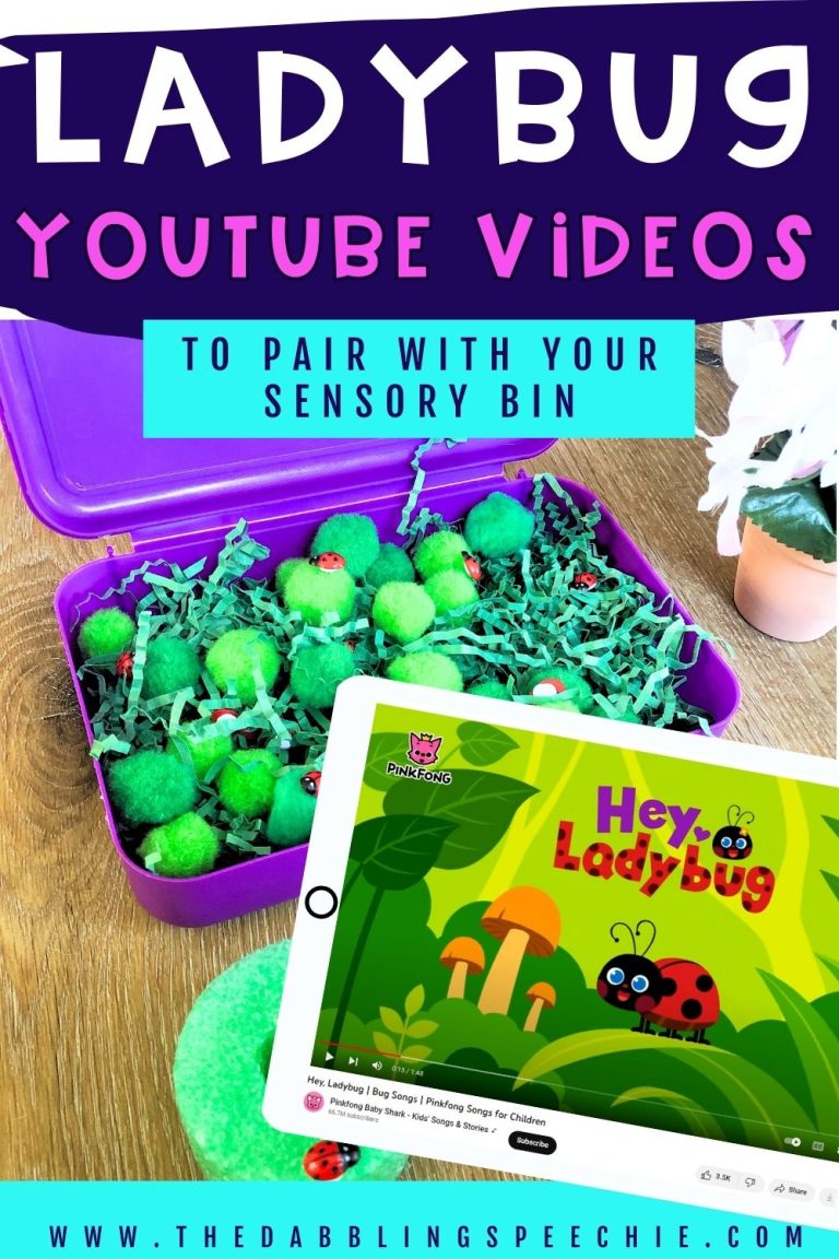 Easy Ladybug Sensory Bin for Speech Therapy - thedabblingspeechie