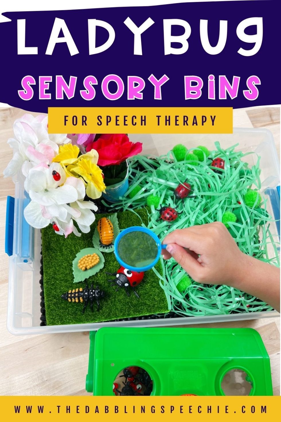 Easy Ladybug Sensory Bin for Speech Therapy - thedabblingspeechie