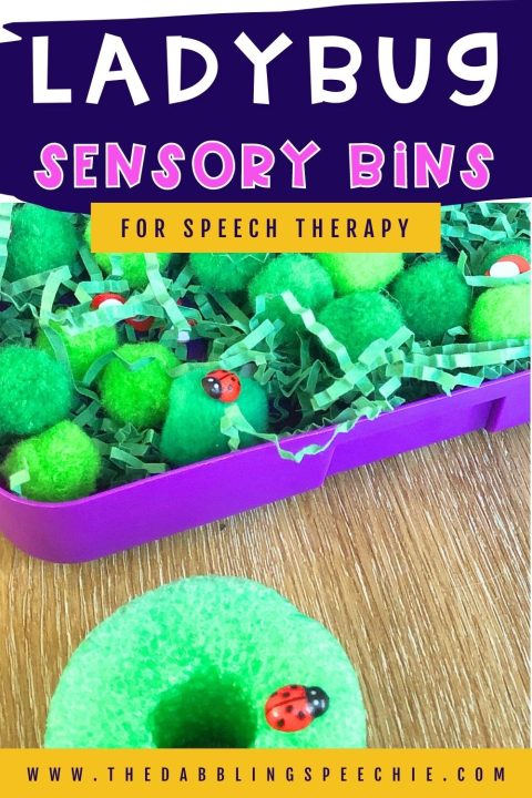 Easy Ladybug Sensory Bin for Speech Therapy - thedabblingspeechie
