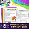 Pumpkin Sensory Bin for Play-Based Speech Therapy - thedabblingspeechie
