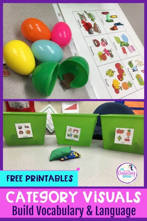 How to Teach Categories To Build Vocabulary - thedabblingspeechie